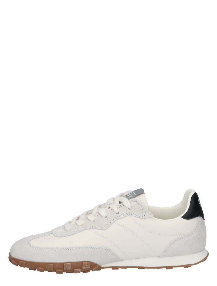 Boax Studio Strike 3004 - Nolten